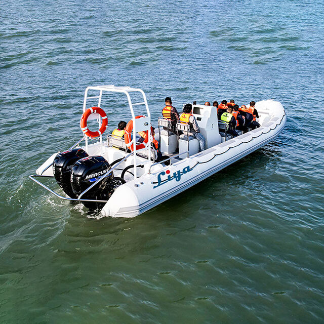 Was Sie vor dem Kauf eines RHIB wissen sollten? - Qingdao Lian Ya Boat Co., Ltd